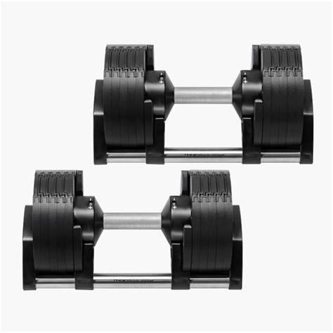 Stepr Rogue Fitness