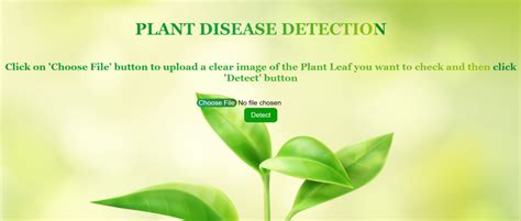 Crop Disease Detection And Treatment Recommendation Dl Imagedectector
