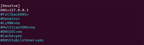 Set Up Local Dns Resolver On Ubuntu 24 04 With Bind9