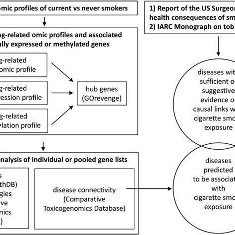Flow Of Data And Bioinformatics Analyses Further Information On The Download Scientific