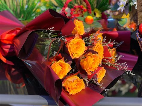 Цэцэгтэй Элч Home