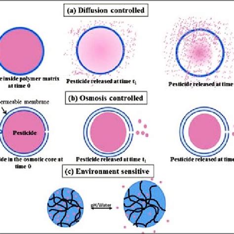 Schematic Of Controlled Release Modalities From A Polymer Matrix