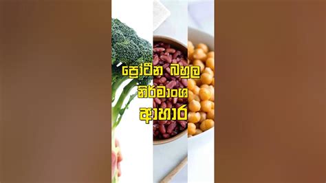 ප්‍රෝටීන බහුල නිර්මාංශ ආහාර Foods Protein Vegetables Vegetarian Foodshorts Youtube