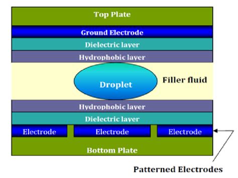 The Structure Of Dmfb [1] Download Scientific Diagram