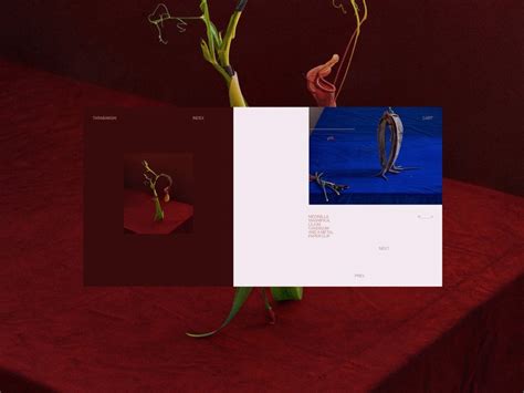 A Custom E Commerce Design Desktop And Mobile Resolutions Upwork