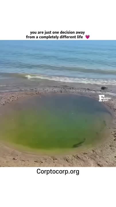 Corp To Corp On Linkedin Corptocorp Usjobs C2c Usajobs Canada