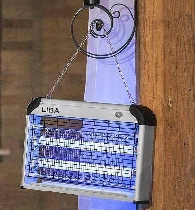 Best Bug Zappers For Indoor Outdoor Pest Control YourTango