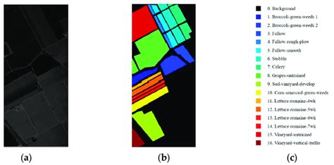 Salinas Image Scene A Band 170th B Ground Truth Map C Ground Download Scientific