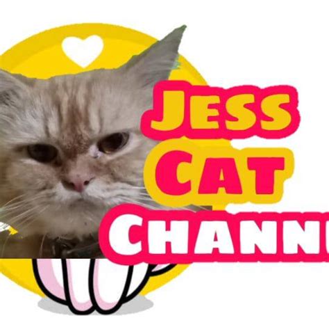 Cats World 😻 😻 😻 😻 Facebook