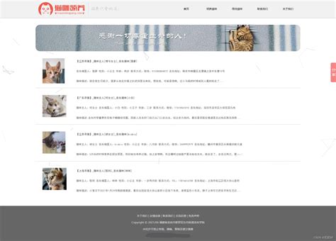 Web前端课程设计：猫咪领养网站 Htmlcssjavascript前端宠物店猫咪区 Csdn博客