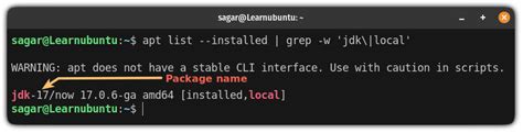 Uninstall Java From Ubuntu