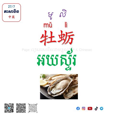 រៀនភាសាចិនដោយខ្លួនឯង 中文 រៀនភាសាចិនដោយខ្លួនឯង 中文 Chinese