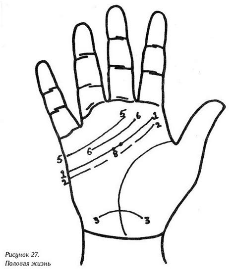 Хиромантия в картинках с разъяснениями и фото ХироМаил