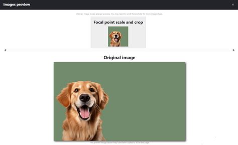 Drupal Image Optimization 1 Modules To Enhance Visual Presentation
