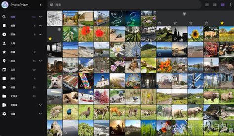 宝藏开源照片管理工具photoprism，让回忆不再杂乱无章 设计达人