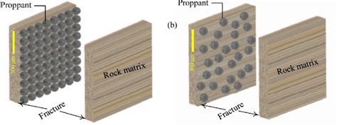 Illustration Of A Full Monolayer And B Partial Monolayer Within A Download Scientific
