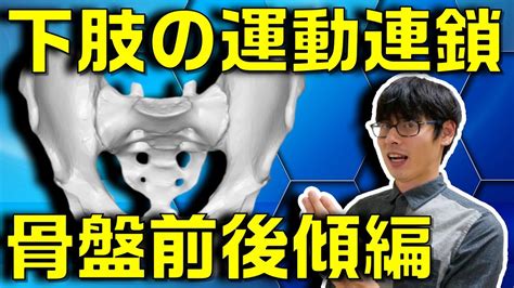 理学療法士運動連鎖骨盤前後傾に伴う下肢の運動連鎖に関する知識を解説します YouTube