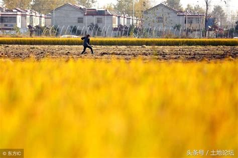 2018年，這些地方的農民不用種地，卻能分享50億財政補貼！ 每日頭條
