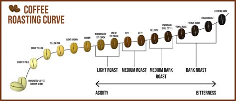 흰색에서 검은색 로스팅 또는 커피 단계 로스팅으로 변형되는 커피 콩 세트 프리미엄 벡터