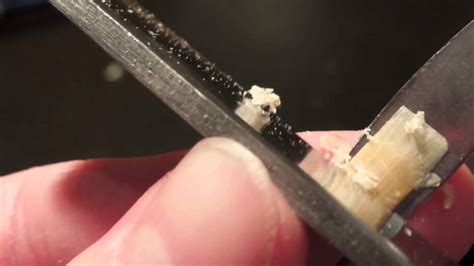 Part 2 Of Scraping Youtube