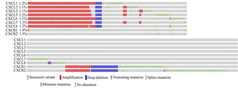 Cases Of Mutations In Cxcr2 Ligand Genes And Cxcr1 And Cxcr2 Receptors