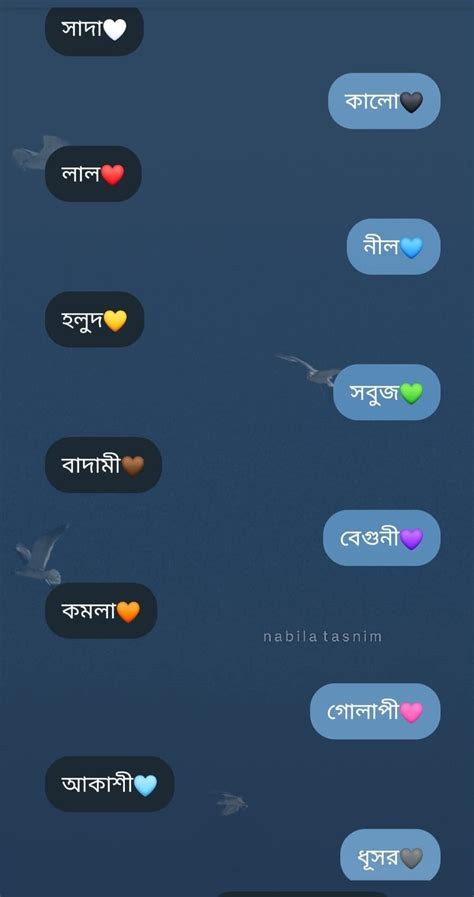 নাবিলা লোকে বলে ভালোবাসলে তা জানান দিতে হয় না আন্তরিকতা কখনো দেখাতে হয় না। কিন্তু আমি এসব