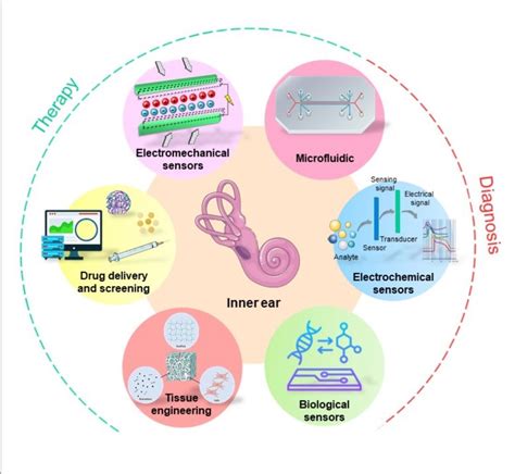 As Promised—another Milestone Behrouz Aghajanloo