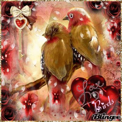 Animated Love Birds
