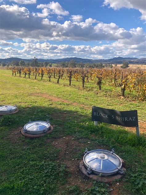 Regional Report Mudgee Australian Wine Guide