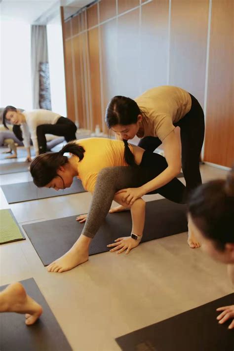 八支瑜伽流瑜伽课程实录 搜狐大视野 搜狐新闻