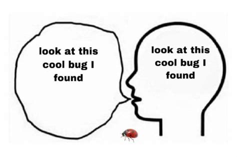 Jr Dev To Senior Dev Rprogrammerhumor Jr Dev To Senior Dev Rprogrammerhumor