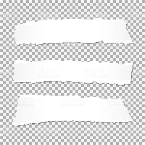 Torn Paper Vector Png
