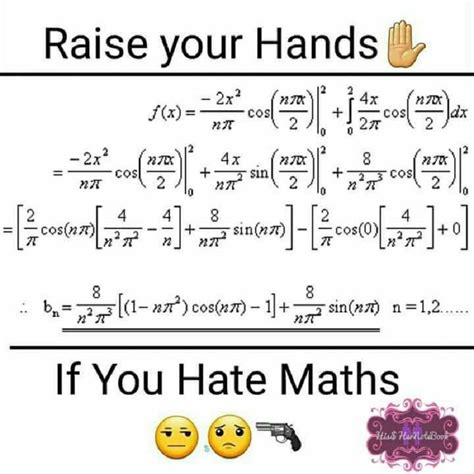 Dear Math I Hate You