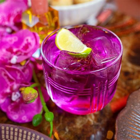 Dolle Diva Amersfoort Tijd Voor Amersfoort