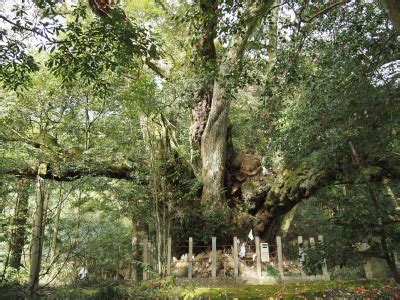志多備神社 いいものを探そう 出雲らへん