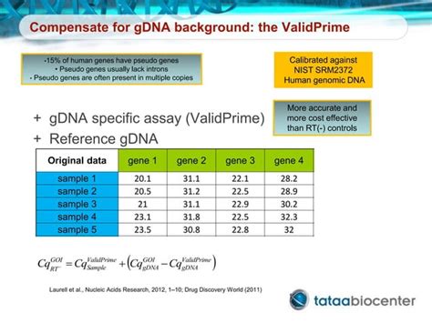 High Throughput Qpcr Tips For Analysis Across Multiple Plates Pptx
