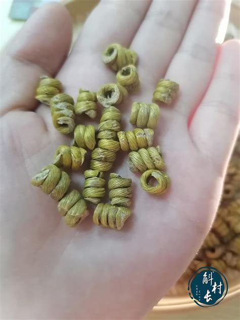 铁皮石斛吃法养胃，食补调理效果更好！ 知乎