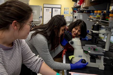 Computational Modeling And Data Analytics Data Science Virginia Tech