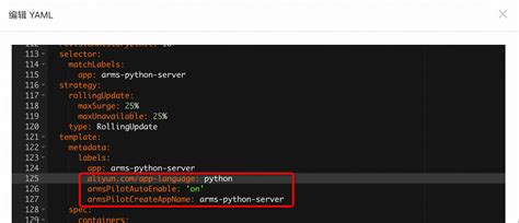 Python应用监控容器服务 Kubernetes 版 Ackack 阿里云帮助中心