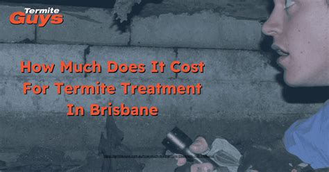 How Much Does Termite Treatment Cost In Brisbane Termite Guys Brisbane