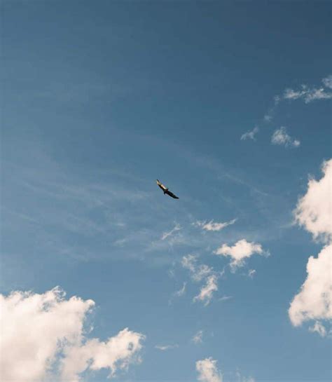 Chris Classic Fujifilm Simulations