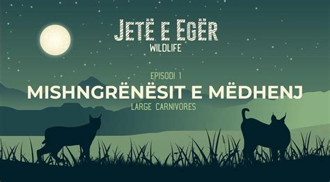 Jeta E Eger Ne Shqiperi Ppnea