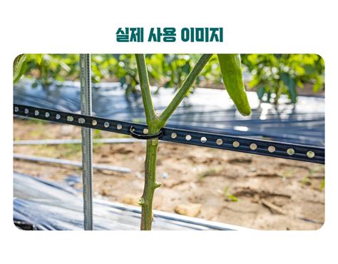고추 방아다리 묶는 밴드 And 고정 고리
