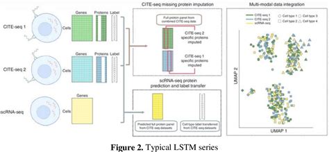 Protein Expression Prediction Tool At Ralph Rutter Blog