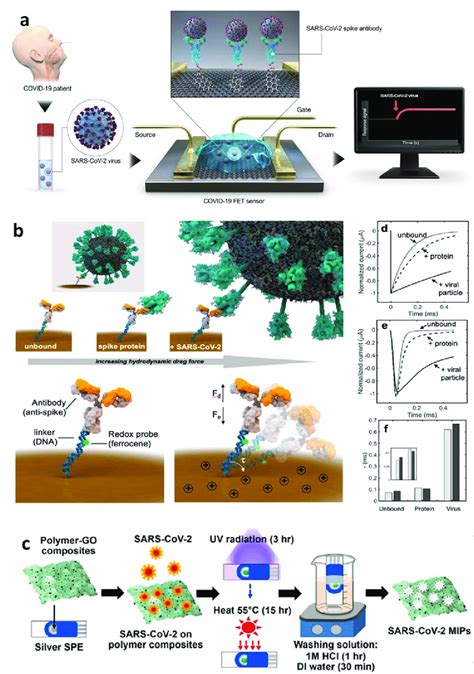 A Schematic Illustration Of The Design Of Graphene Based Fet Sensors