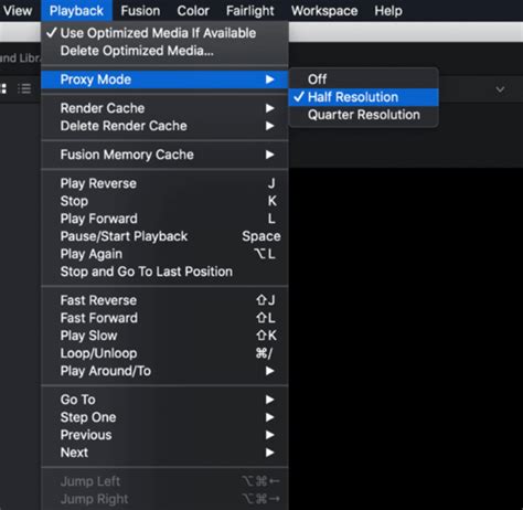 How To Speed Up Playback In Davinci Resolve Step By Step Hollyland
