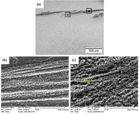 Microstructure Of Defect Zone At The Edge By A Om At Low