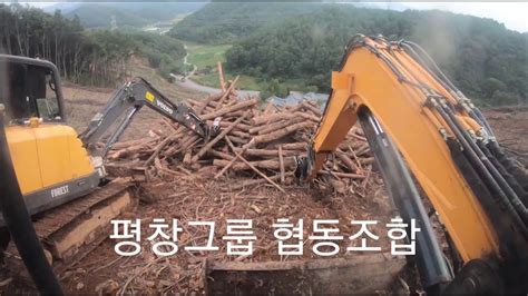 산판협동조합 벌목은 함께합니다 벌목산판은 평창임업사업단으로 콜미 Youtube