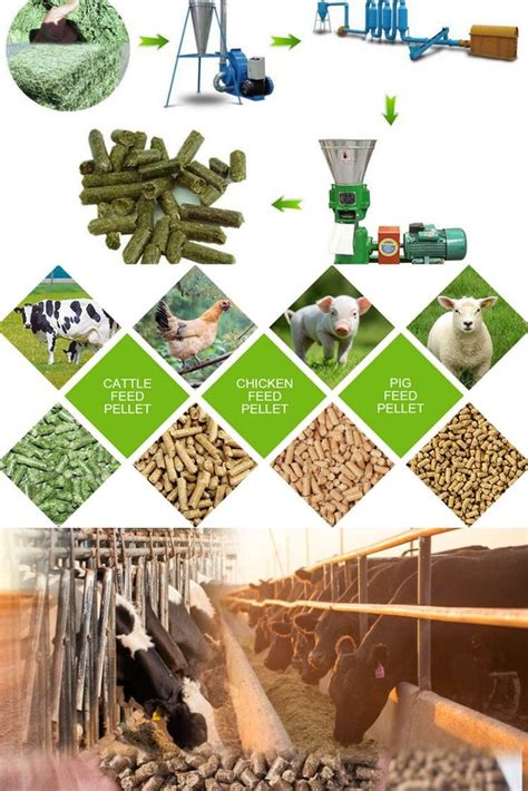Feed Pellet Mill Feed Pellet Production Line Make Cattle Feed Pellets