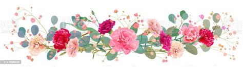 카네이션의 파노라마 보기 핑크 화이트 붉은 꽃 잎 유칼립투스 나뭇가지 집시 어 흰색 배경 어머니의 날 수채화 스타일의 그림 가로 패턴 벡터 꽃 식물에 대한 스톡 벡터 아트